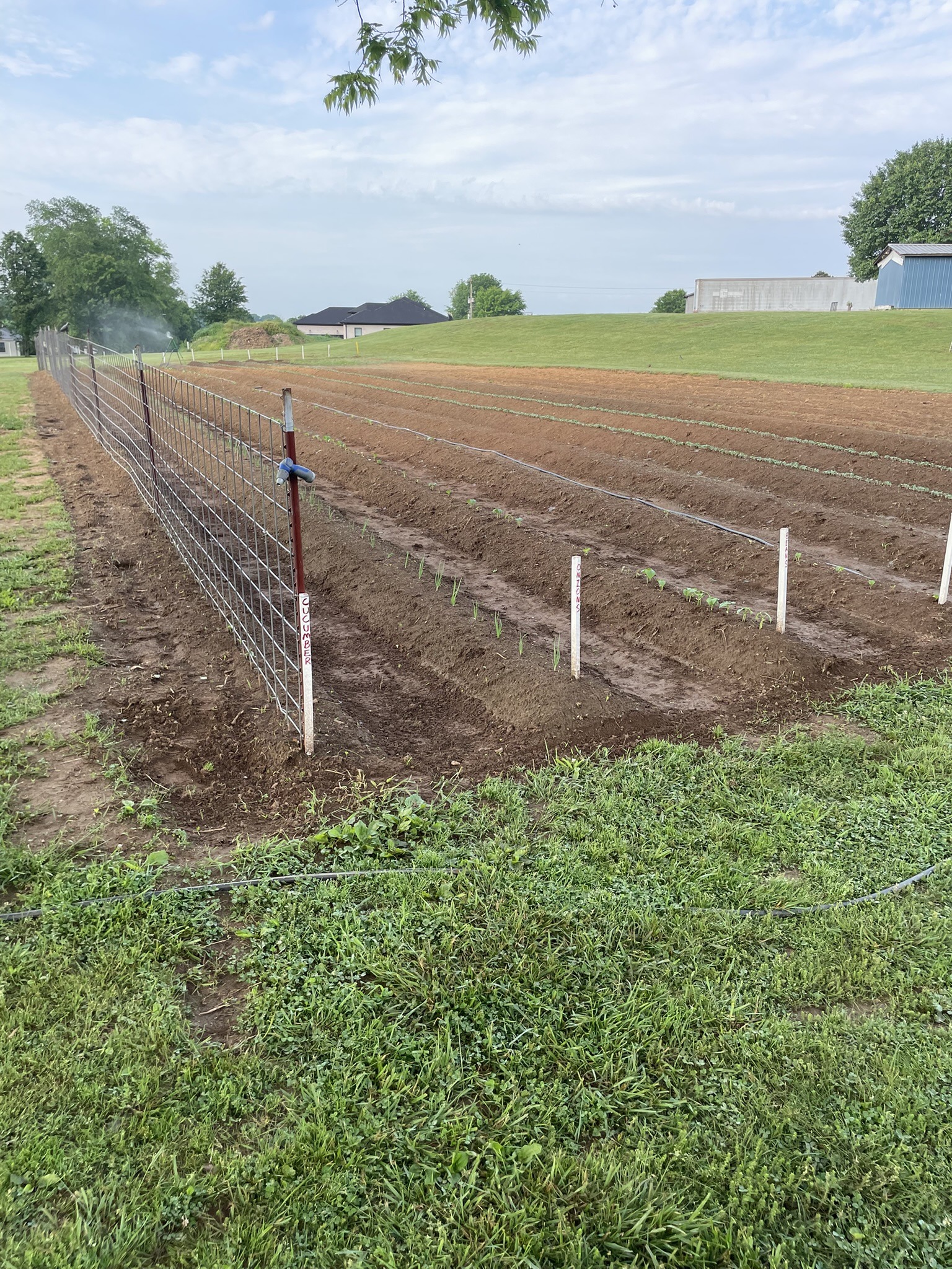 PLANTING PURPOSE: Moore County Jail Community Garden grows veggies and ...